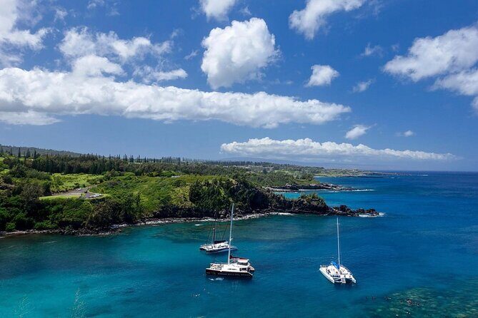 Fun! Open-Air Banyan Tree Forest & Blowhole Sight-Seeing MauiTour - Final Thoughts: Who Will Love This Tour?