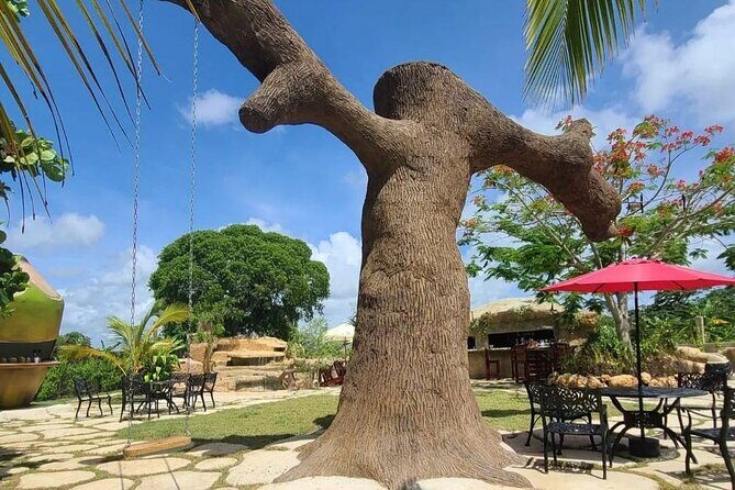 Fun Park Adventure Tour - The Value for Money