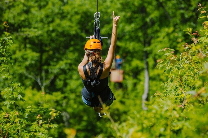 Fun Park Adventure Tour - What Past Participants Say