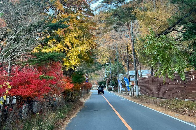 Fun Trail in Tokyo - Practical Considerations and Booking