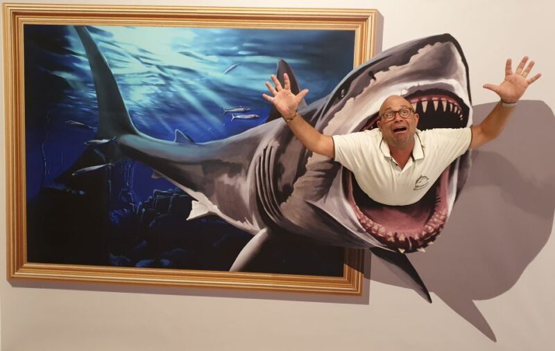 Funchal: 3D Fun Art Museum - Who Is This Experience Best For?