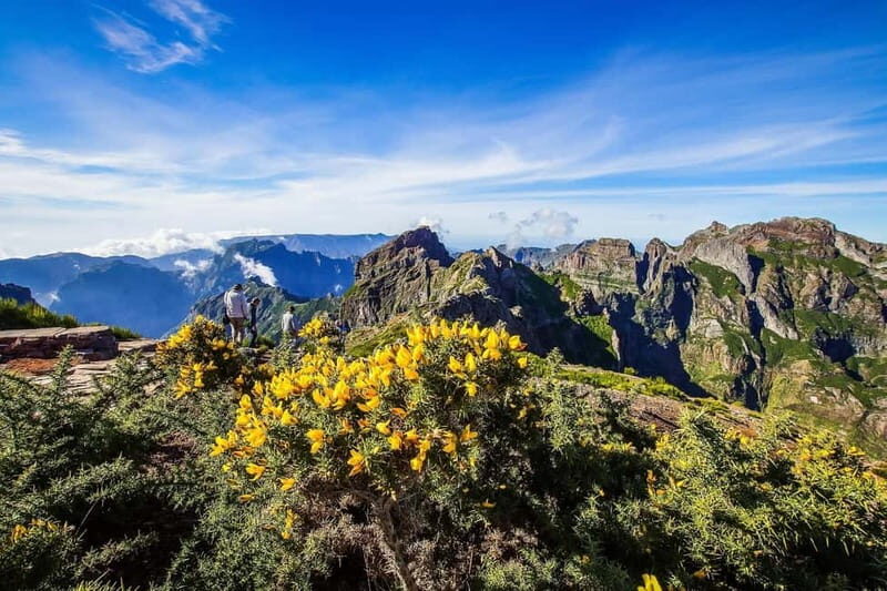 Funchal: 4x4 Jeep Trip to the East and Northeast of Madeira - An Adventure Through Madeira’s Scenic East and Northeast
