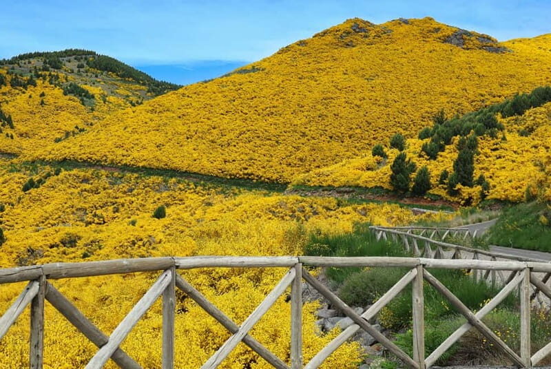 Funchal: 4x4 Jeep Trip to the East and Northeast of Madeira - The Sum Up