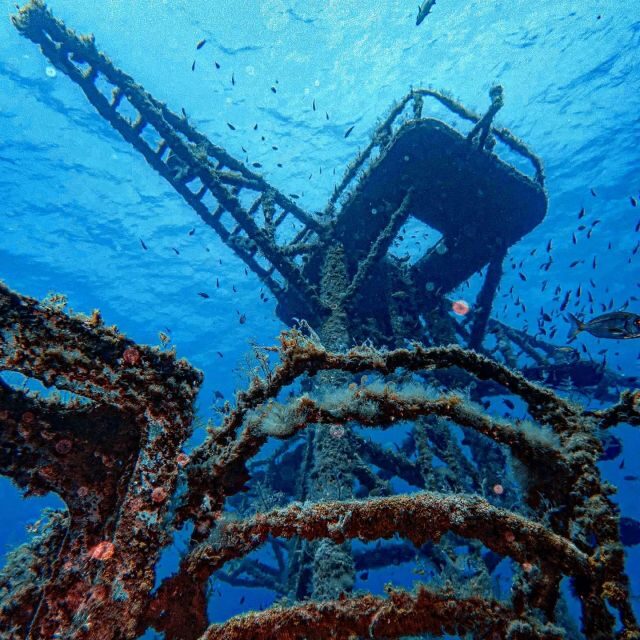 Funchal: Advanced Scuba Diving Afonso Cerqueira Wreck - An In-Depth Look at the Experience