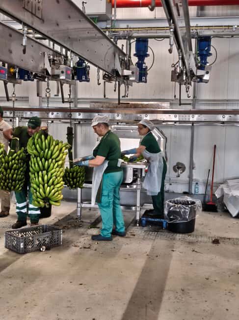 Funchal Agriculture Green Tour - The Value of the Experience