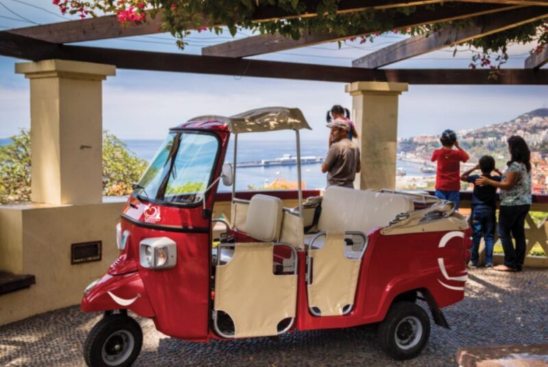 Funchal at Night Private Tour by Tuk Tuk - Why Choose the Funchal at Night Tuk Tuk Tour?
