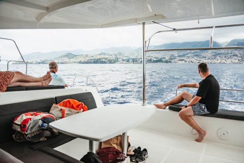 Funchal Bay: Dolphin & Whale Watch Luxury Catamaran Cruise - How the Tour Plays Out: The Day in Focus