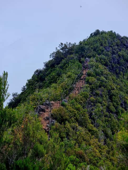 Funchal: Bica da Cana to Encumeada Guided Hike with Pickup - An Authentic Journey Through Madeira’s Nature