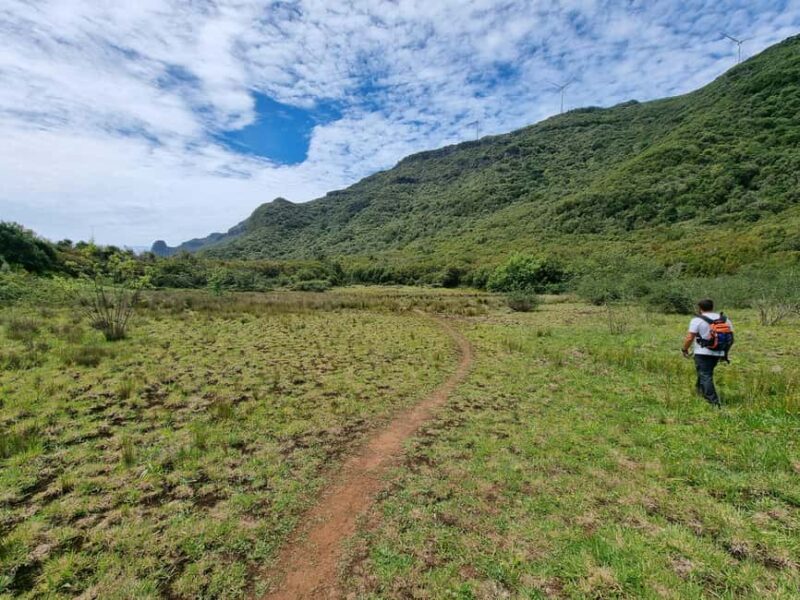 Funchal: Bica da Cana to Encumeada Guided Hike with Pickup - Views of São Vicente and Serra de Água Valleys