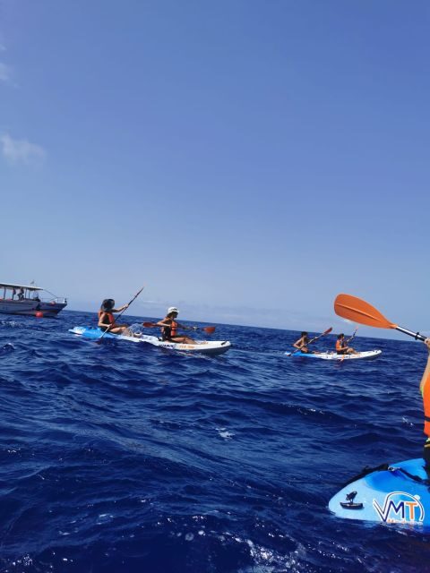 Funchal Boat trip with Kayak Experience - FAQ