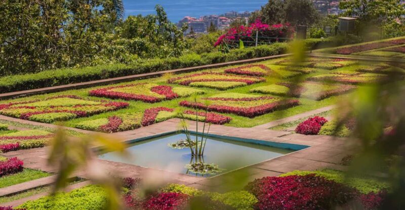 Funchal: Botanical Garden and Old Town Private Tuk-Tuk Tour - An In-Depth Look at the Funchal Tuk-Tuk Experience