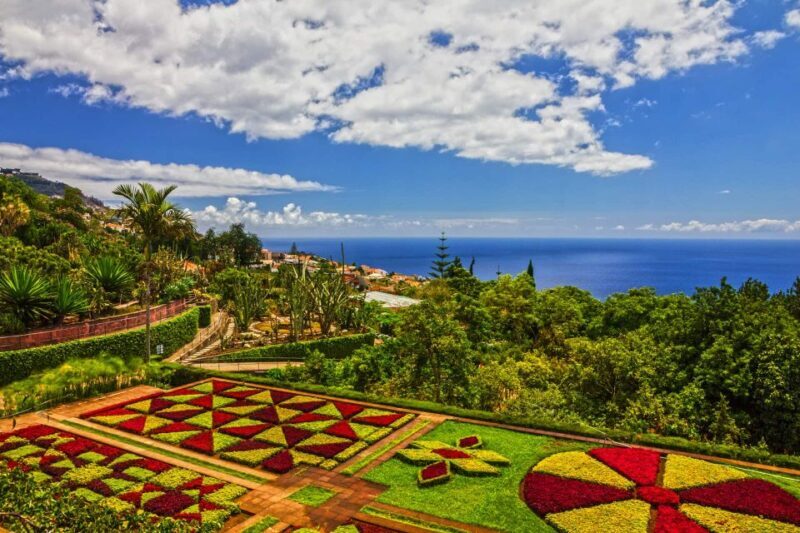 Funchal: Botanical Garden and Old Town Private Tuk-Tuk Tour - Final Thoughts