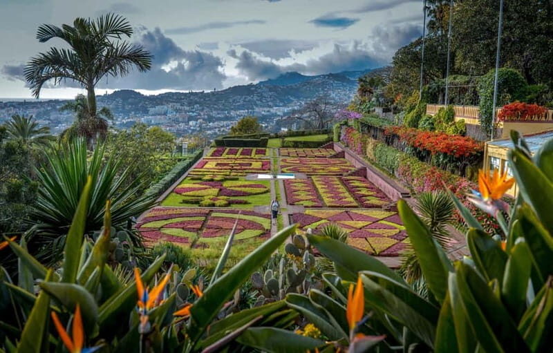 Funchal: Botanical Garden & Old Town Tour by TukTuk (1h45) - Key Points