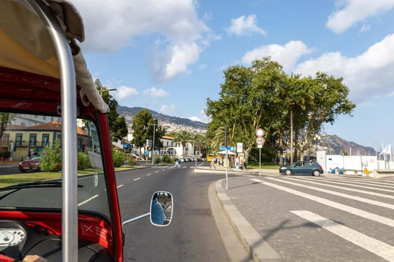 Funchal: Botanical Garden & Old Town Tour by TukTuk (1h45) - Authentic Traveler Views and Insights