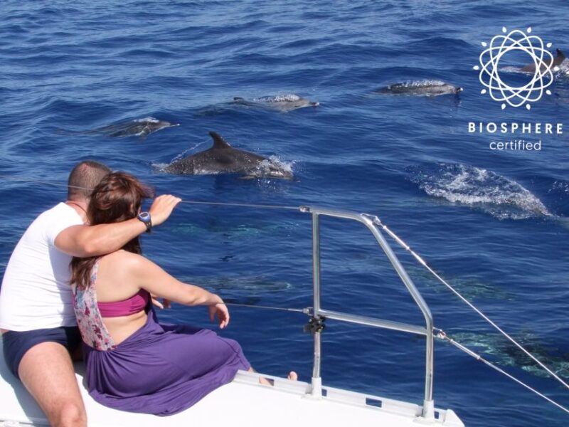 Funchal: Cabo Girão, Wines Tasting and Dolphins Watching - Authenticity and Traveler Feedback