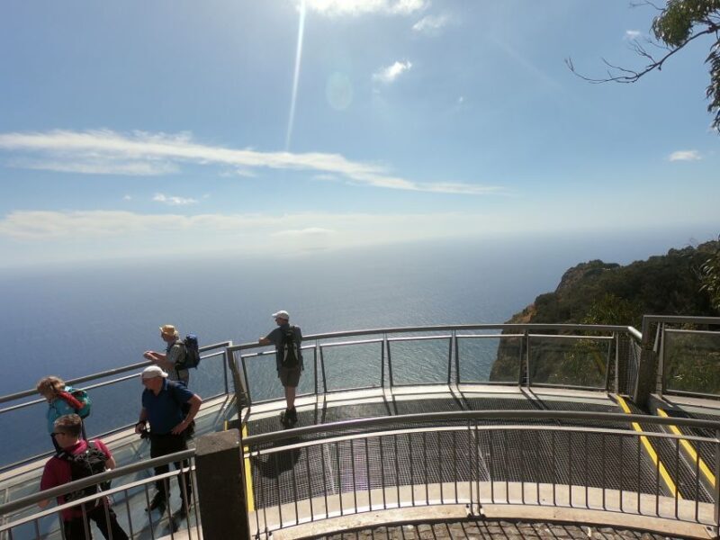 Funchal: Cabo Girão, Wines Tasting and Dolphins Watching - Who Would Enjoy This Tour?