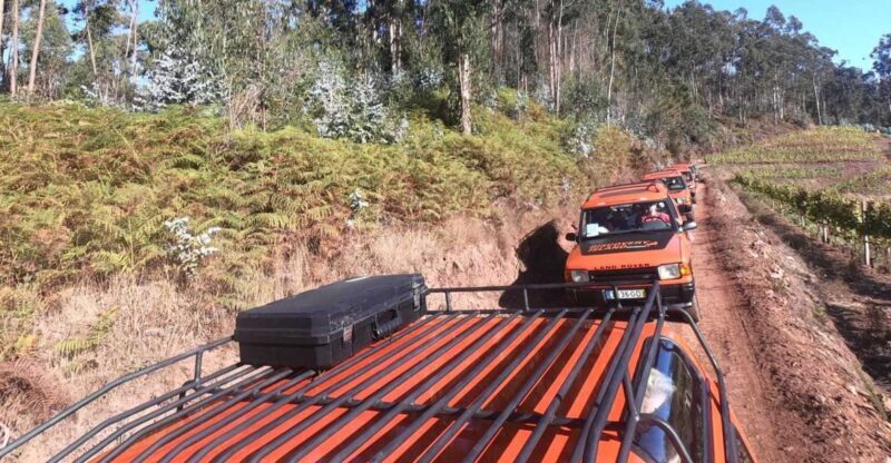Funchal: Câmara Lobos & Girão Sea Cliff Half-Day Jeep Tour - Key Points