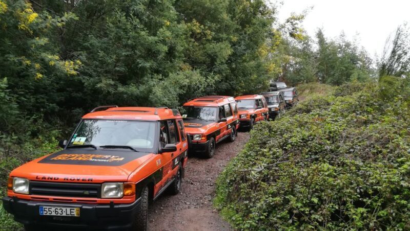 Funchal: Câmara Lobos & Girão Sea Cliff Half-Day Jeep Tour - How It Feels to Take This Tour