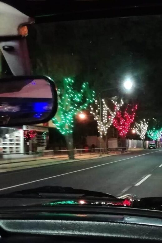 Funchal: Christmas Lights Sightseeing Night Tour - Reviews and Authentic Experiences