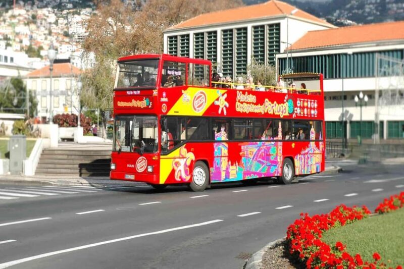 Funchal: City Sightseeing Hop-On Hop-Off Bus Tour - Who Will Love This Tour?