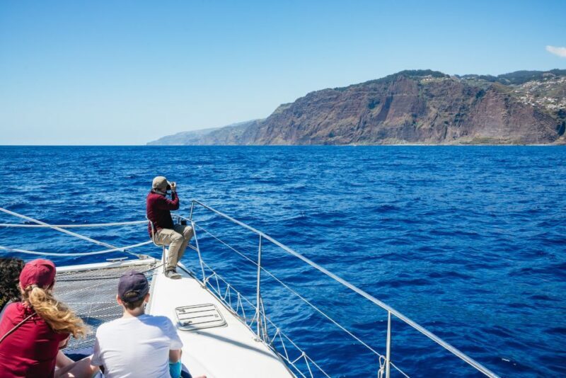 Funchal: Dolphin and Whale Watching by Luxury Catamaran - Frequently Asked Questions