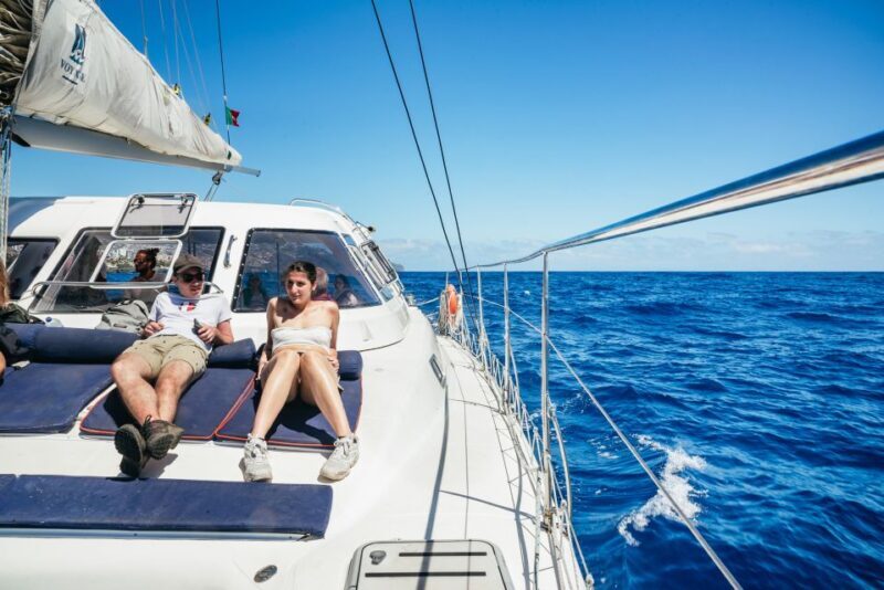 Funchal: Dolphin and Whale Watching by Luxury Catamaran - Final Thoughts