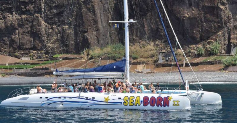 Funchal: Dolphin and Whale Watching Catamaran Cruise - Practical Details and Tips