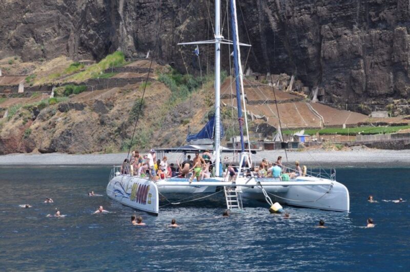 Funchal: Dolphin and Whale Watching Catamaran Cruise - Who Should Consider This Tour