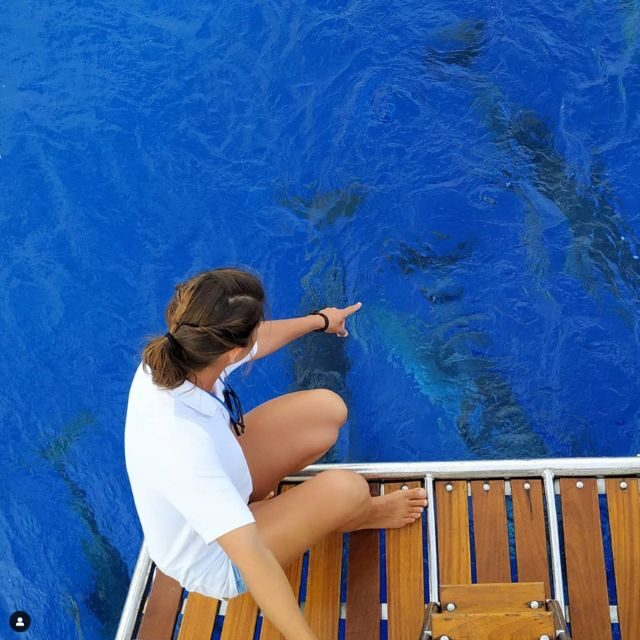 Funchal: Dolphin and Whale Watching Sailing Trip - An Authentic Ocean Adventure with Scenic Highlights