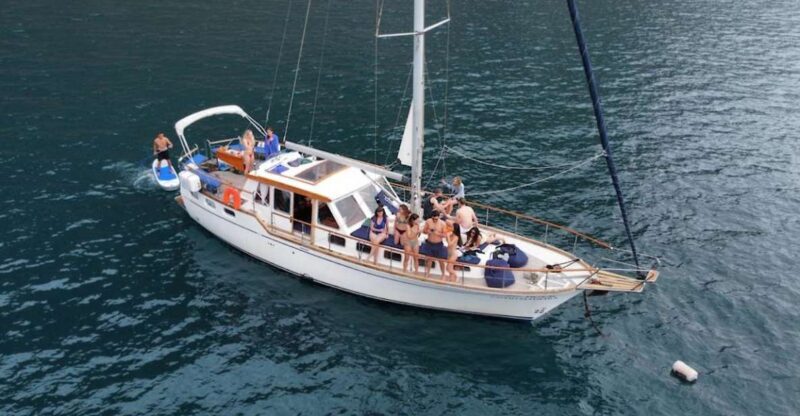 Funchal: Dolphin and Whale Watching Sailing Trip - Practical Tips for Your Trip