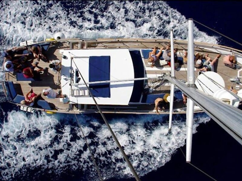 Funchal: Dolphin and Whale Watching Sailing Trip - Who Will Love This Tour?