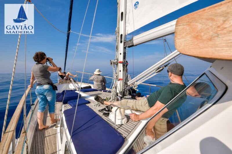 Funchal: Dolphin and Whale Watching Sailing Trip - Final Thoughts