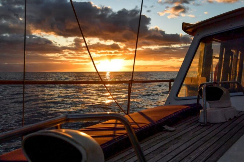Funchal: Dolphin and Whale Watching Sunset Sailing Tour - Key Points