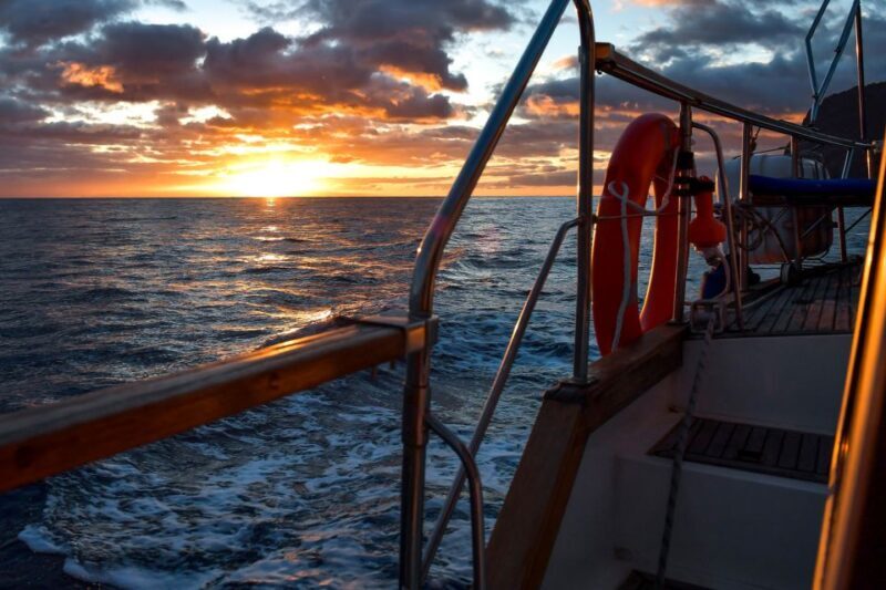 Funchal: Dolphin and Whale Watching Sunset Sailing Tour - Who Should Consider This Experience?
