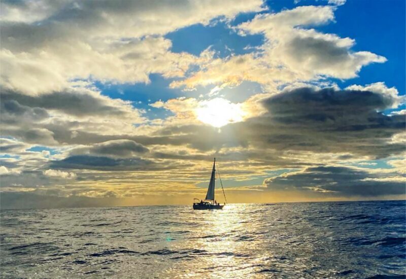 Funchal: Dolphin and Whale Watching Sunset Sailing Tour - Final Thoughts