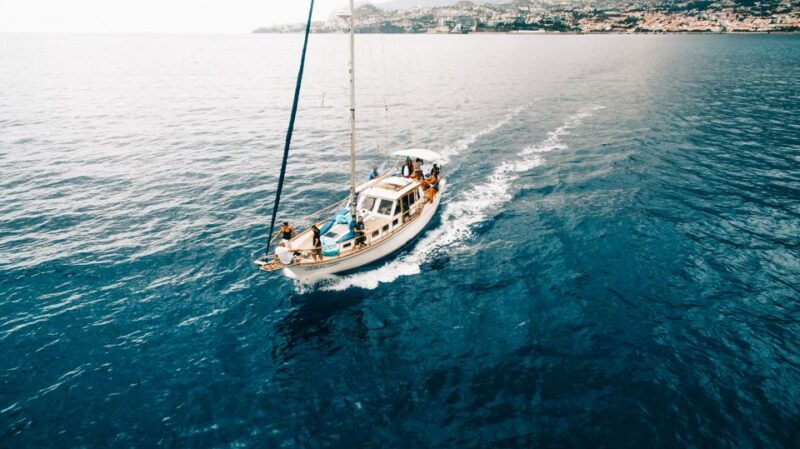 Funchal: Dolphin and Whale Watching Sunset Sailing Tour - FAQ