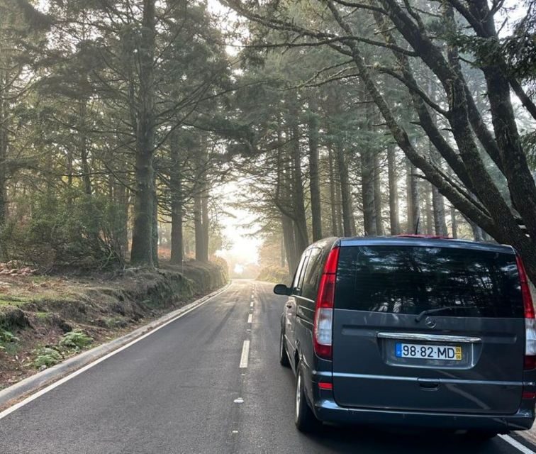 Funchal: East Madeira Island Guided Tour & Laurissilva Walk - A Deep Dive into the Tour Experience
