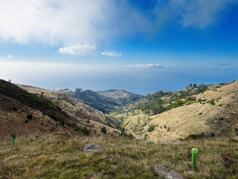Funchal: East Madeira Island Guided Tour & Laurissilva Walk - Frequently Asked Questions