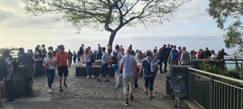 Funchal: Family Madeira Island Tour - Who Will Love This Tour?