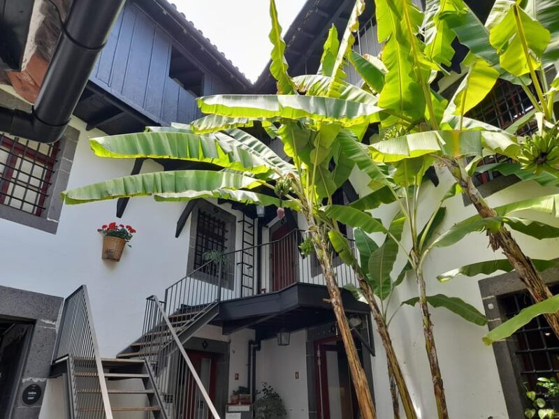 Funchal Flavours - In-Depth Look at the Funchal Flavours Tour