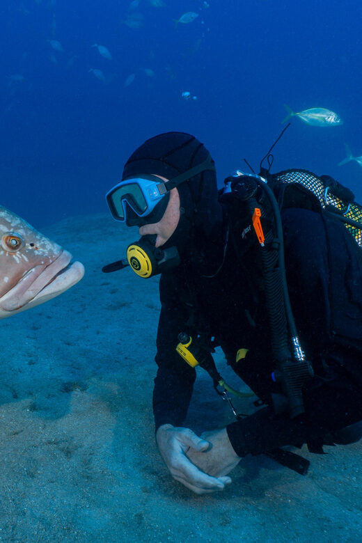 Funchal: Garajau national park - certified divers - FAQs