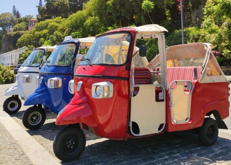 Funchal: Guided City Tuk-Tuk Tour - Key Points