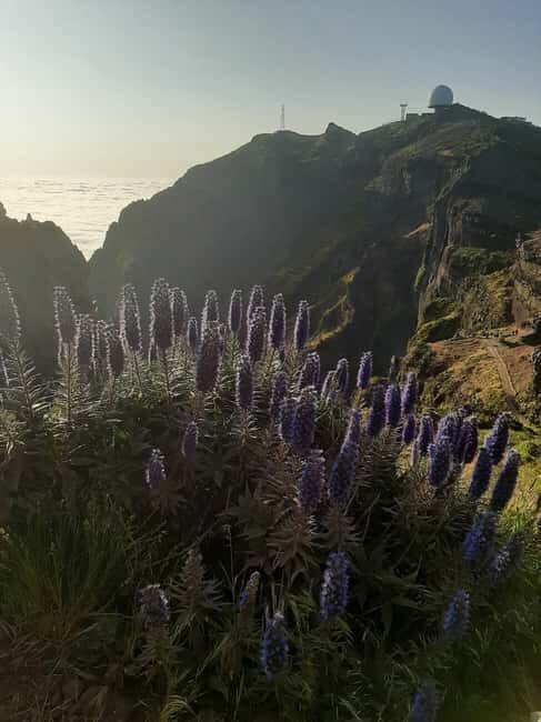Funchal: Guided Sunrise Walk & Stairway to Heaven - Ending with Garajau and the Cristo Rei Statue