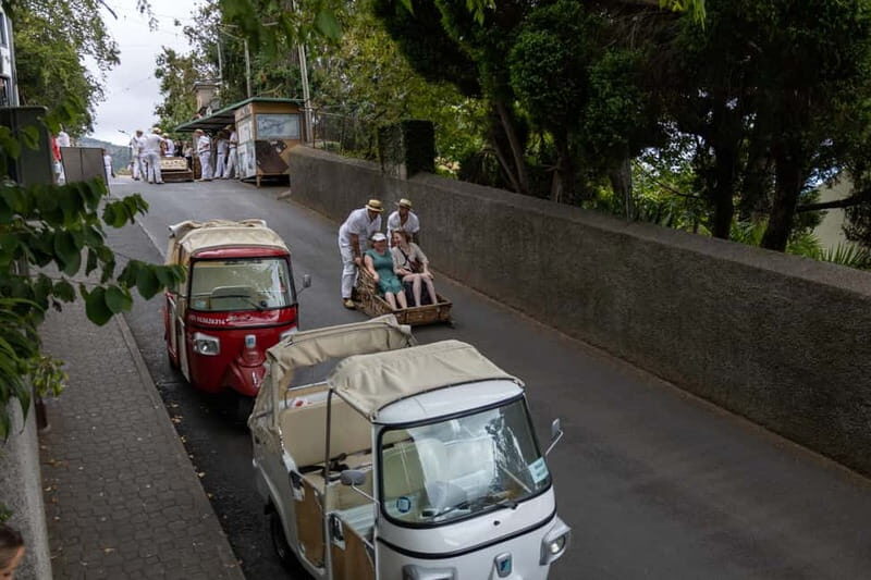 Funchal: Guided Tuk Tuk Tour to Toboggan Rides & Old Town - Authentic Reviews from Travelers