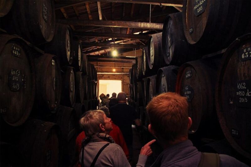 Funchal: H.M. Borges Winery Guided Tour with Wine Tasting - Key Points
