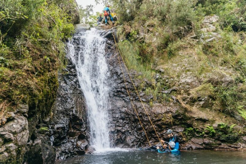 Funchal: Half-Day Beginner-Friendly Canyoning Experience - Funchal: Half-Day Beginner-Friendly Canyoning Experience — A Detailed Review