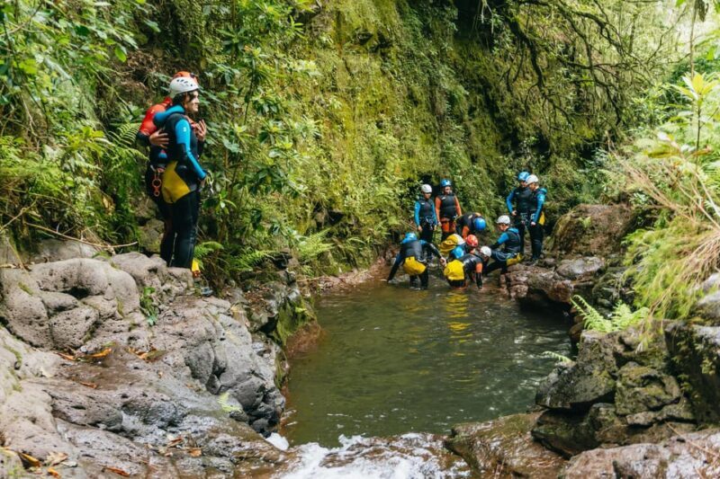 Funchal: Half-Day Beginner-Friendly Canyoning Experience - The Itinerary: A Well-Structured Adventure
