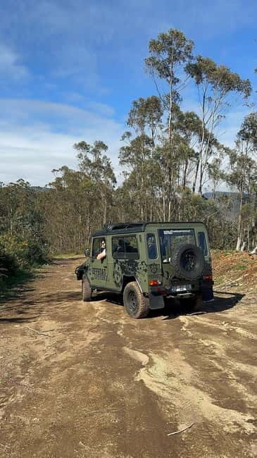 Funchal: Half-Day Jeep Tour with Cabo Girão Skywalk - The Sum Up