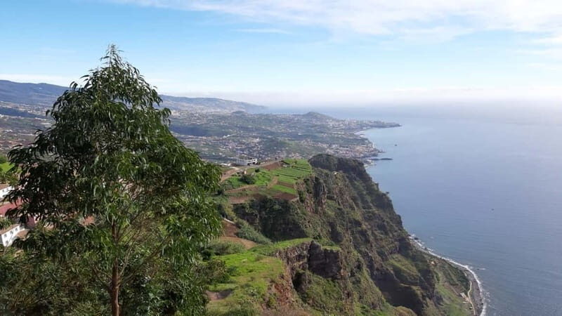 Funchal: Half-Day South Madeira Island Private Tour - Practical Details: What You Need to Know