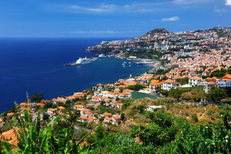 Funchal: Hop-On Hop-Off Bus Tour - Exploring Madeira with the Hop-On Hop-Off Bus